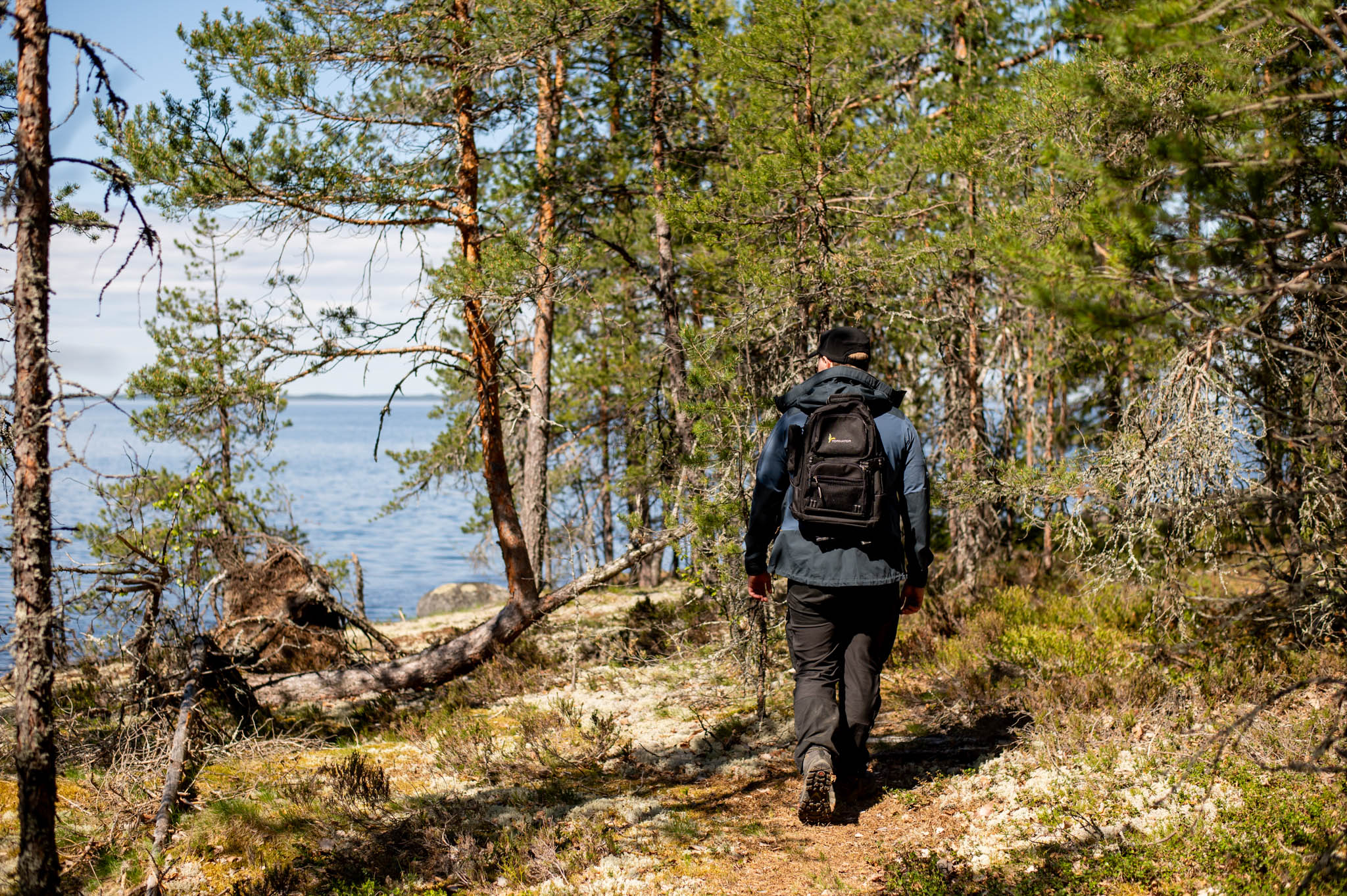 Tornatorin päivitetty strategia nojaa luontoon, laatuun ja lisäarvoon ...